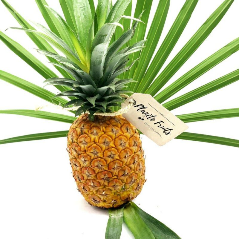 Ananas Extra-Sweet Avion – la pièce env. 2kg – Planète Fruits