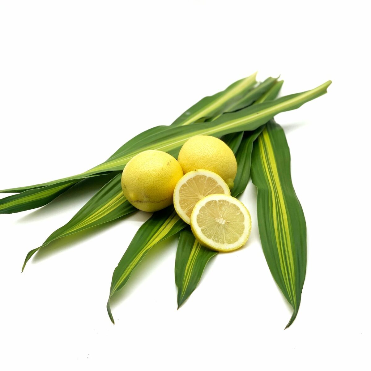 Citron bio – env. 500g – Planète Fruits
