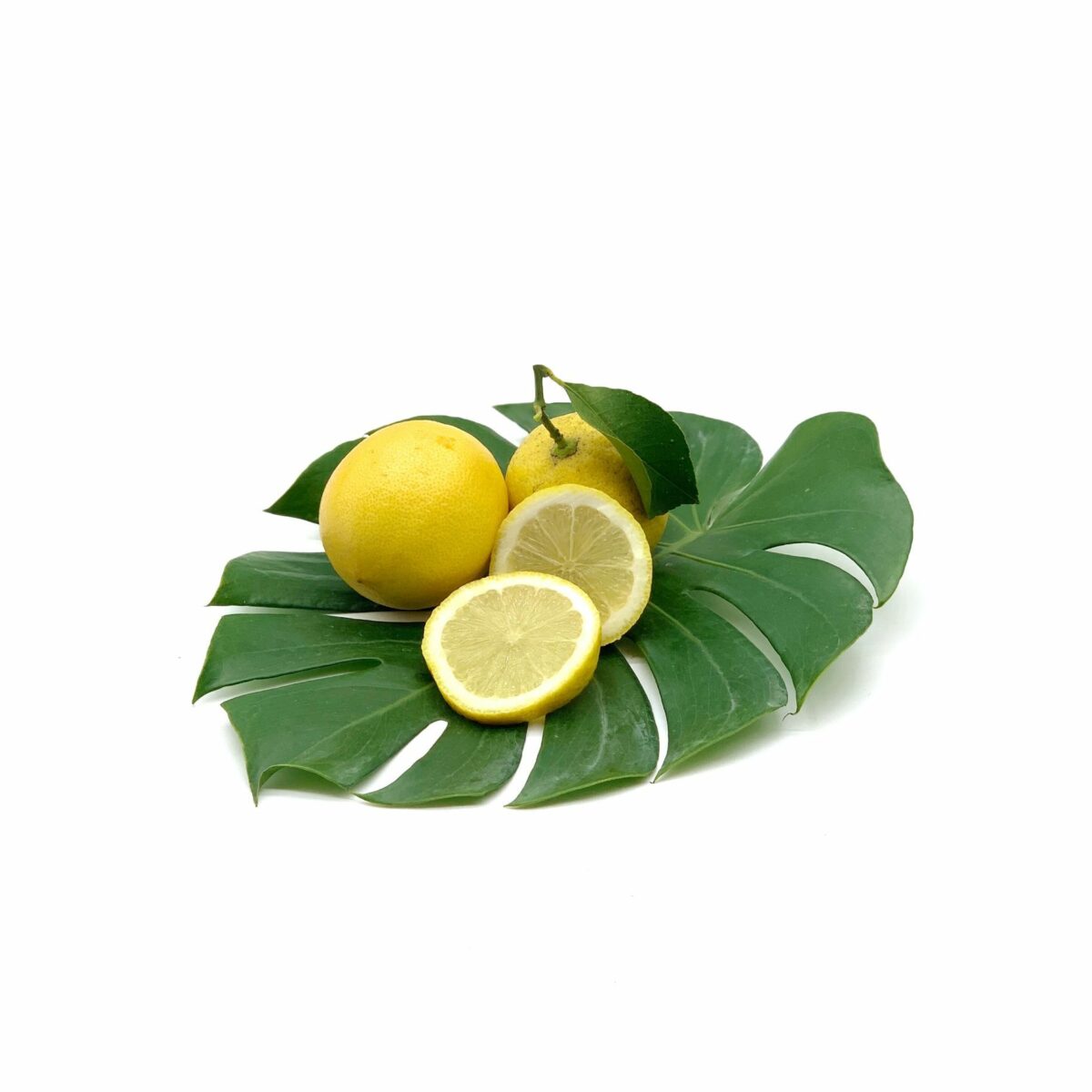 Citron Feuille Amalfi – env. 500g – Planète Fruits