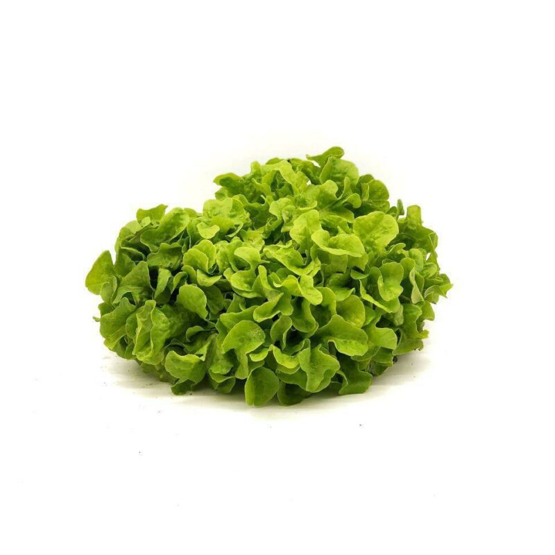 Cébette – la botte – Planète Fruits