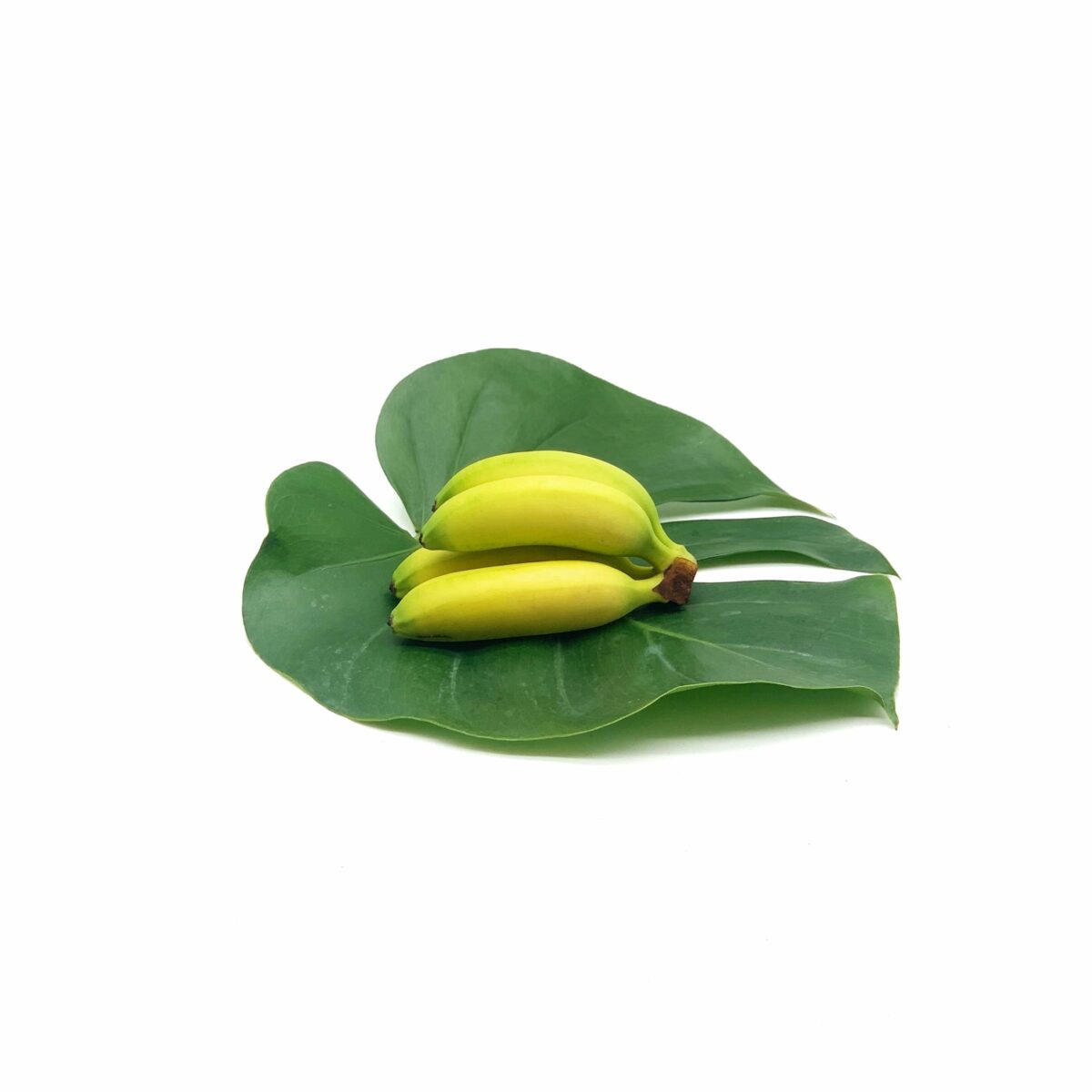 Banane mini (Fressinette) – env. 300g – Planète Fruits