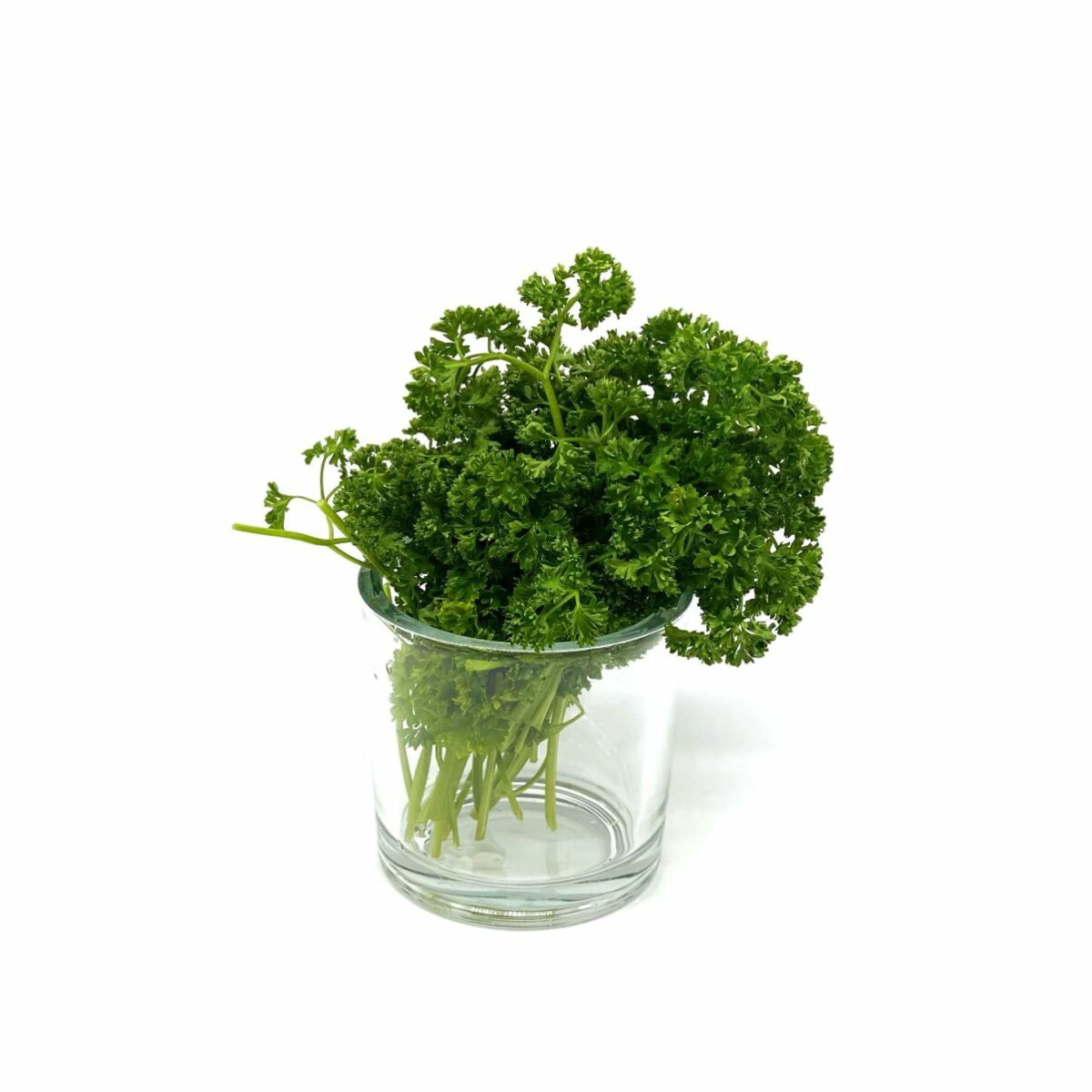 Persil frisé – la botte – Planète Fruits