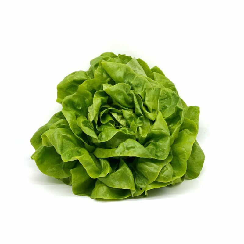 Cébette – la botte – Planète Fruits