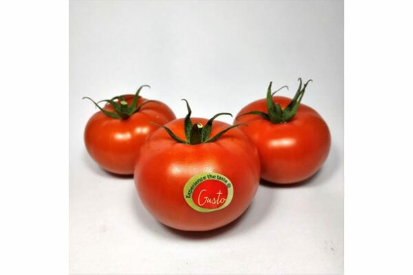 Cébette – la botte – Planète Fruits